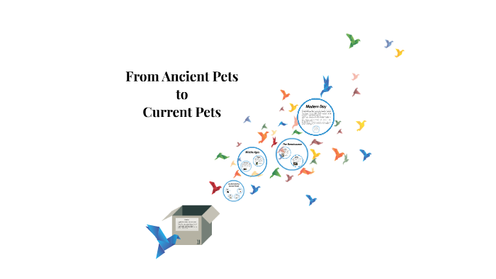 Timeline of Domesticated Animals from the Ancient Greek and by Luci ...