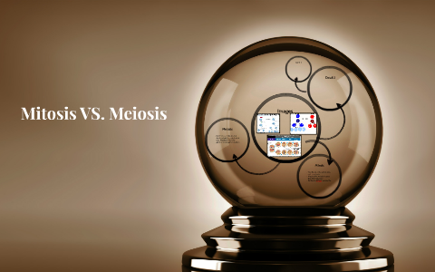 Mitosis VS. Meiosis by sarai ross on Prezi