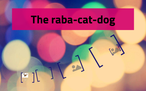 The raba-cat-dog by caitlin bragg on Prezi