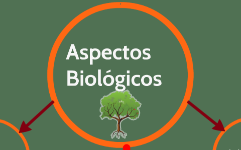 Aspectos Biológicos by dayana fortini on Prezi