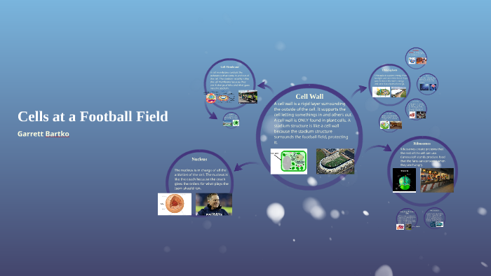 Cells at a Football Field by garrett bartko on Prezi