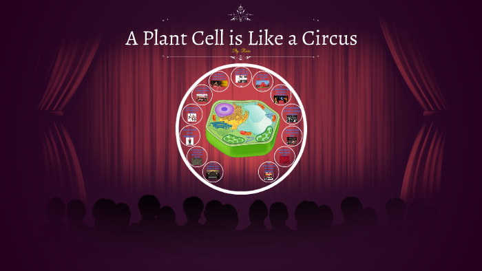 A Plant Cell is Like a Circus by The Rocio on Prezi