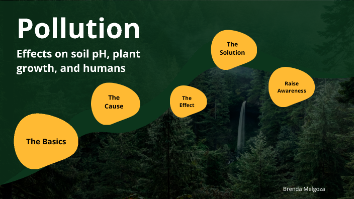 Pollution's Effects on Soil pH and Plant Growth by Brenda Melgoza on Prezi