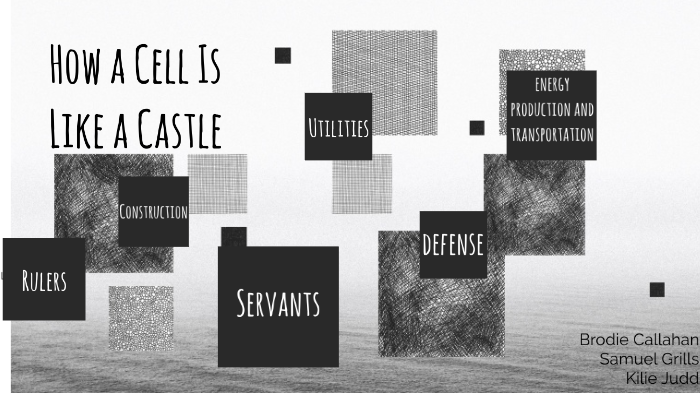How An Animal Cell Is Like a Castle by kiliesambrodie ...