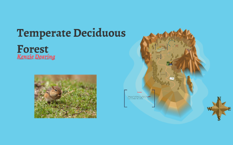 Kenzie Dearing (Temperate Deciduous Forest) by mckenzie dearing on Prezi