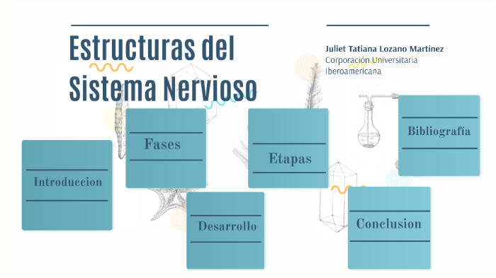 estructuras del sistema nervioso y sus principales etapas by Juliet tatiana Lozano martinez on Prezi