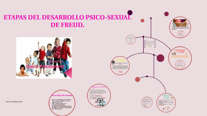 Diagrama De Etapas De Desarrollo De Freud
