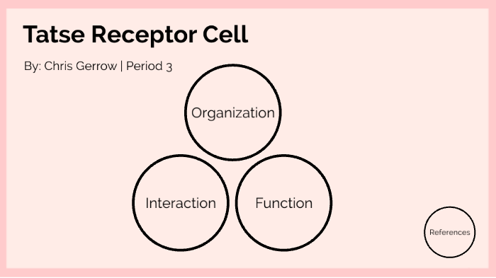 Specialized Cell Project by Christopher Gerrow on Prezi