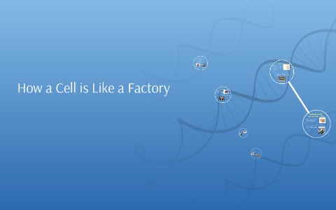 How a Cell is Like a Factory by Rocky Balboa on Prezi