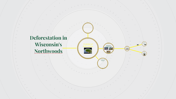 Deforestation in Wisconsin's Northwoods by Bryce Dively on Prezi