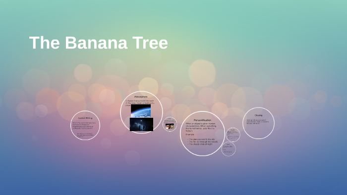 The Banana Tree by Rachel Duff on Prezi