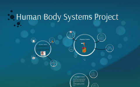 Human Body Systems Project by Matt Scotty jayyyy on Prezi