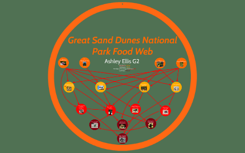 Great Sand Dunes Food Web by Ashley Jane on Prezi
