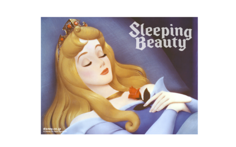 The vision for Wittenberg by Emma Gradin on Prezi