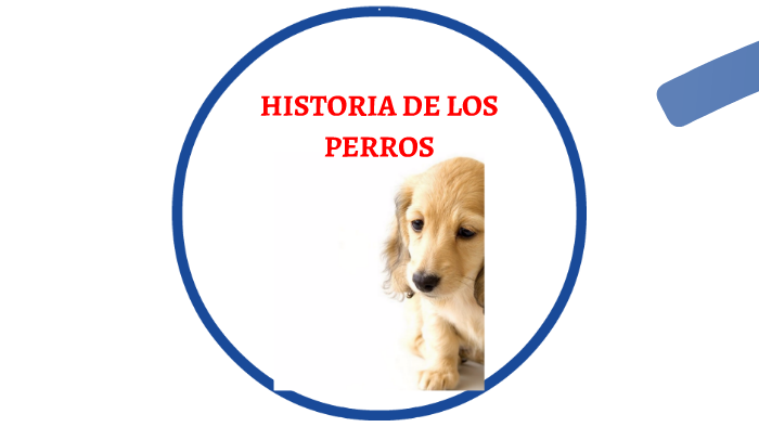 HISTORIA DE LOS PERROS by Lina María Quintero Martínez on Prezi