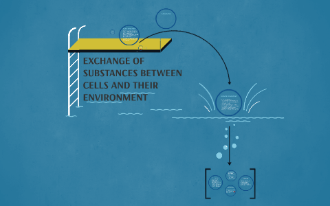 EXCHANGE OF SUBSTANCES BETWEEN CELLS AND THEIR ENVIRONMENT by Swetha ...