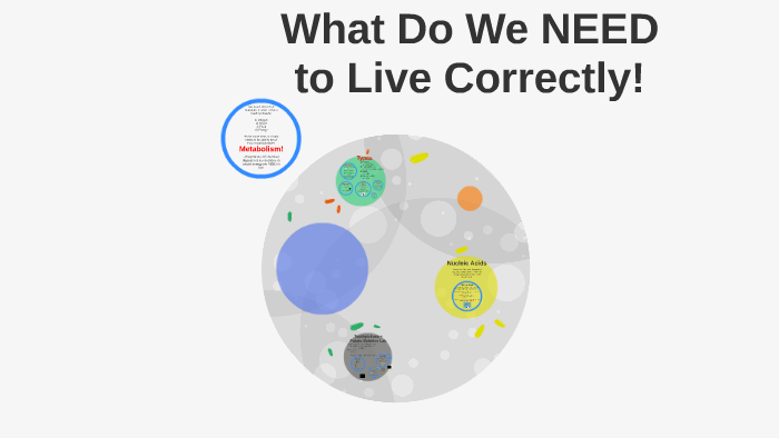 What Do We NEED to Live Correctly! by Matt Swajkowski on Prezi