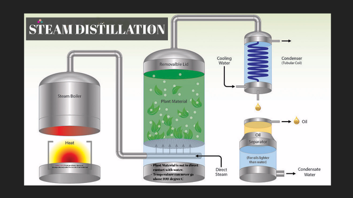 STEAM DISTILLATION by Anisha Chande on Prezi