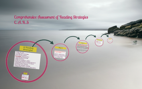 CARS Comprehensive Assessment of Reading Strategies by Shelley Thornton ...