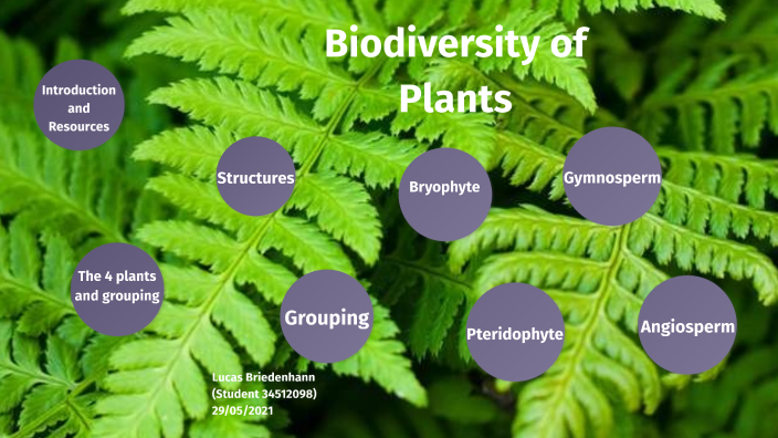 Grade 11 Biodiversity of plants Teacher activity - Student 34512098 by ...