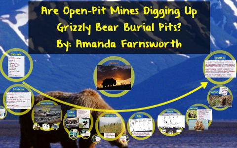 Grizzly Bears – Are Open-Pit Mines Digging Their Burial Pit by Amanda ...