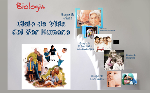 Ciclo de Vida del Ser Humano by Ericka Yessenia on Prezi