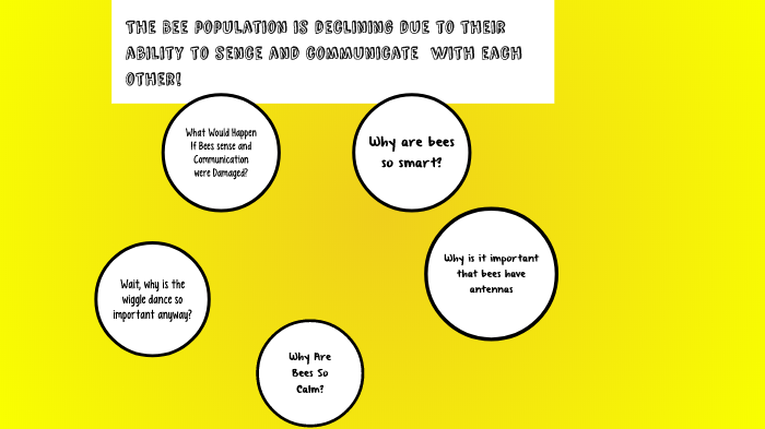 Bee Project by Alyssa Dugas on Prezi