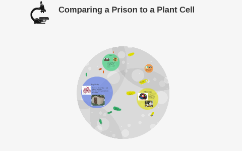 Comparing a Jail Cell to a Plant Cell by chloe leloup on Prezi
