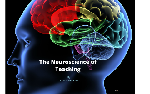 The Neuroscience of Teaching by Victoria Ringeisen