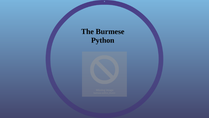 The Burmese Python by Sydnie Stottle on Prezi