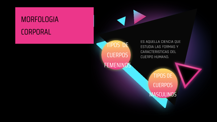 MORFOLOGIA CORPORAL by Vanessa Martinez Oliveros on Prezi