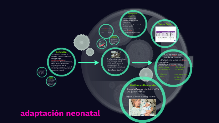 adaptación neonatal by sandra escabor on Prezi