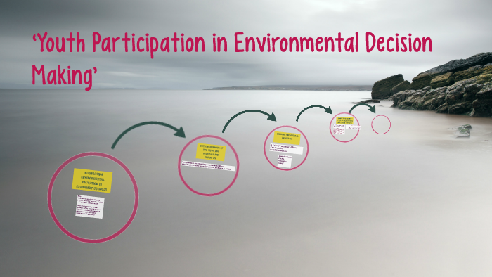‘Youth participation in environmental decision making’ by Lee ...