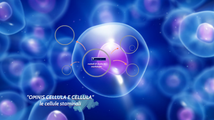 "OMNIS CELLULA E CELLULA" by Titta Forte on Prezi
