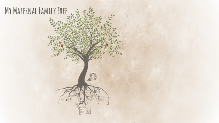 My Maternal Family Tree by Kristina Reeves on Prezi