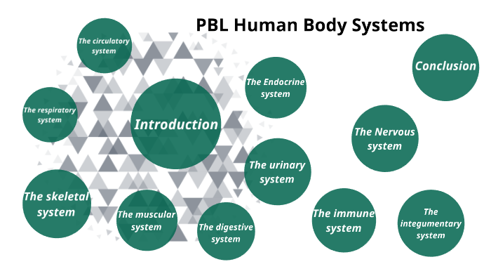 PBL human body systems by Lily Chen on Prezi