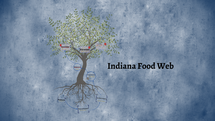 Indiana Food Web by Ayush Panda on Prezi