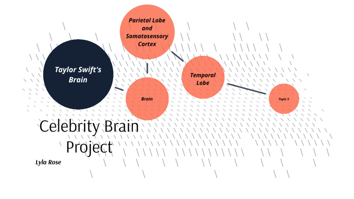 celebrity brain project by Lyla Rose on Prezi