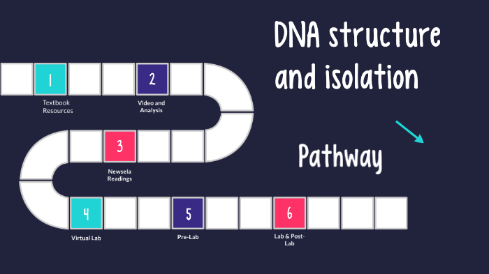 DNA Structure and its Extraction Pathway by Robert Gumb on Prezi