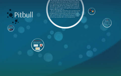 Pitbull by Brayden Henning on Prezi