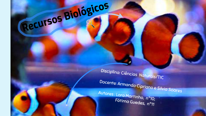 Recursos Biologicos by Lara Fatima on Prezi