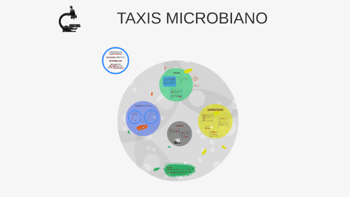 FOTOTAXIS Y QUIMIOTAXIS by Diego Castiblanco on Prezi
