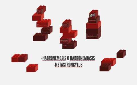 -HABRONEMOSIS O HABRONEMIASIS by Susana Villalba on Prezi