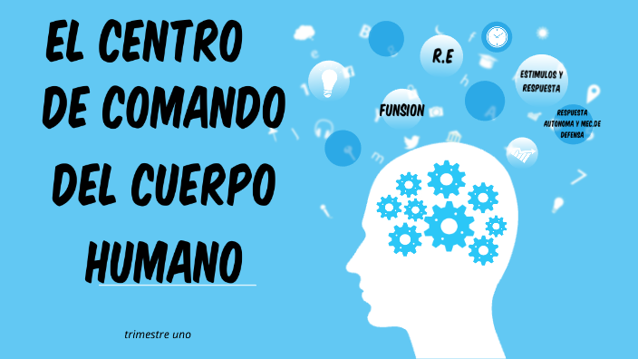 EL CENTRO DE COMANDO DEL CUERPO HUMANO by Eliut Ramirez on Prezi