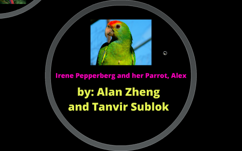 Irene Pepperberg and her Parrot, Alex by Tanvir Sublok on Prezi
