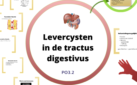 Levercysten in de tractus digestivus by k b on Prezi
