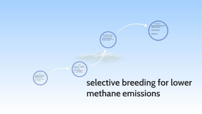 selective breeding for lower methane emissions by jacob ginn on Prezi