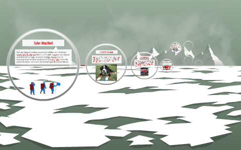 Tyler MacNeil by Ian Connors on Prezi