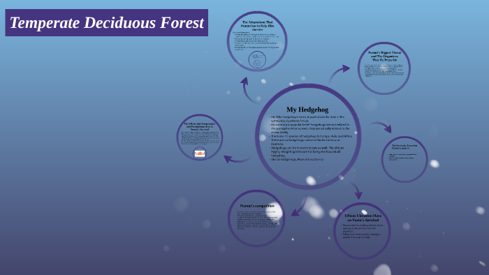 Temperate Deciduous Forest by Tia Murray on Prezi