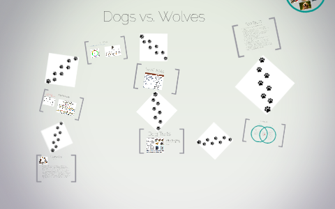 Dogs vs. Wolves by Ashley Grover on Prezi